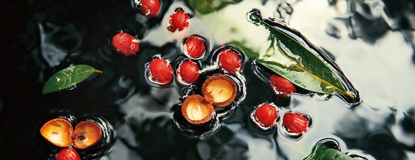 The Unique Hydrating Powers of Ucuuba - Natura